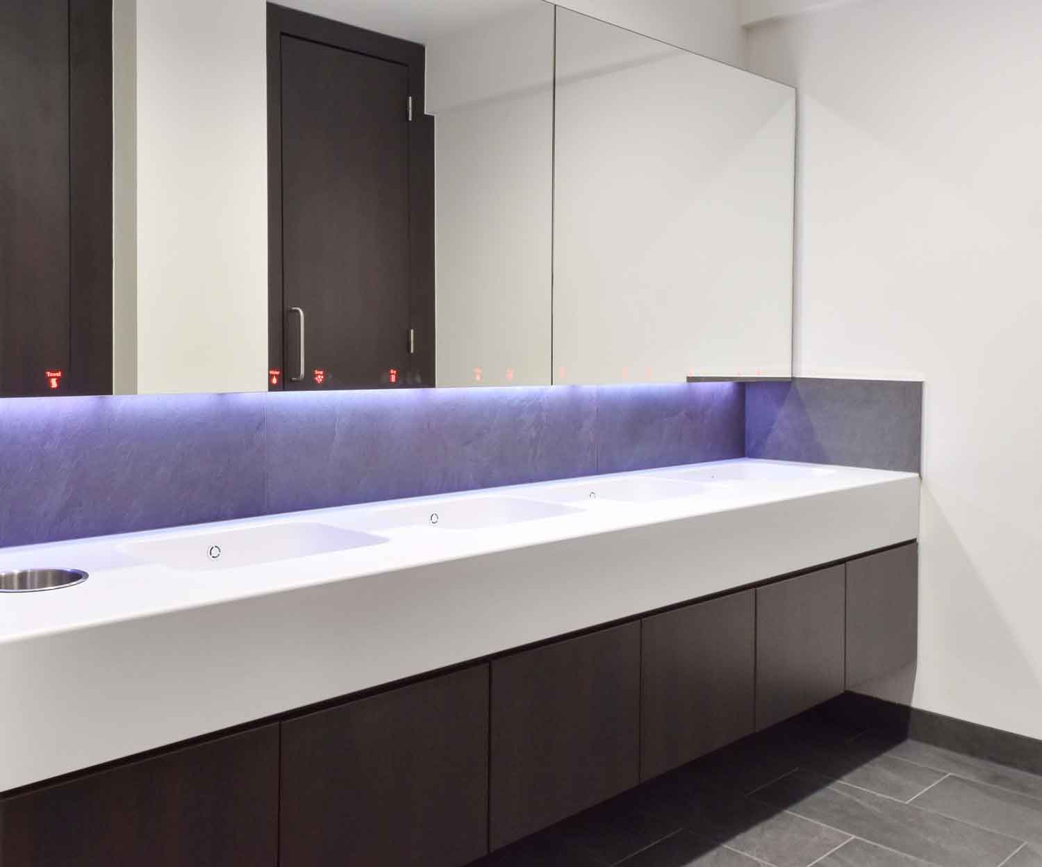 Deloitte Offices | Dolphin Solutions