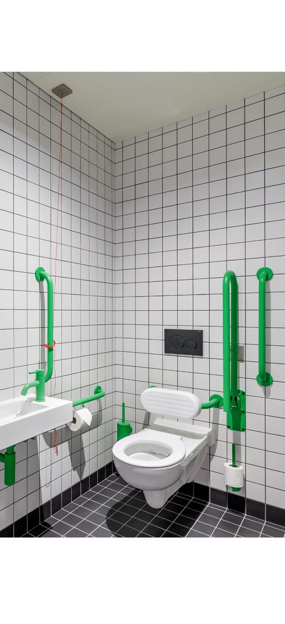 Accessible Toilets for Disabled Persons | Dolphin Solutions