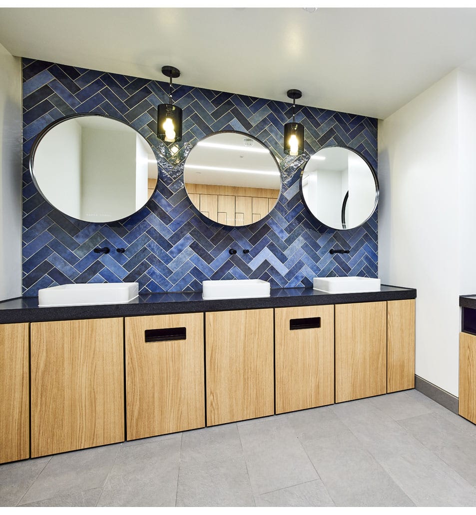 Commercial Access Panels for Washrooms | Dolphin Solutions