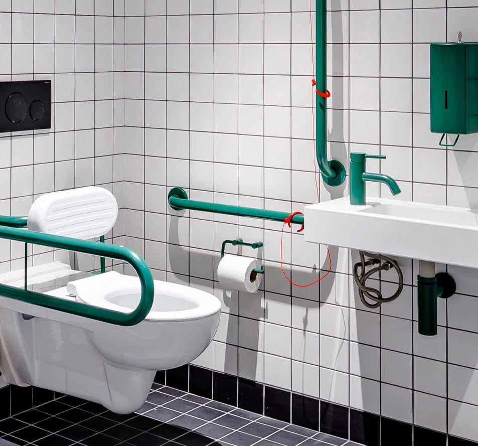 Accessible Toilets for Disabled Persons | Dolphin Solutions
