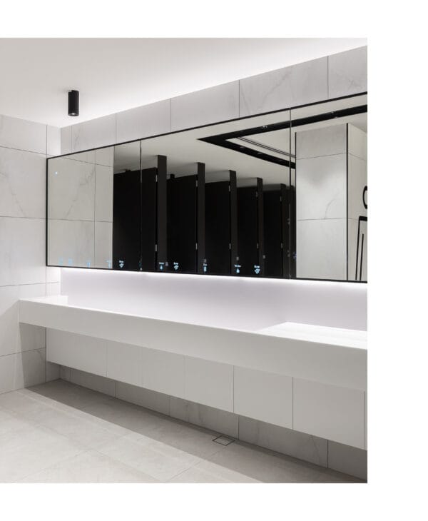 Behind Mirror System Designs to Avoid | Dolphin Solutions