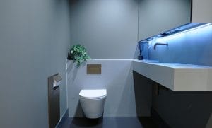 What are the Minimum Superloo Dimensions? | Dolphin Solutions